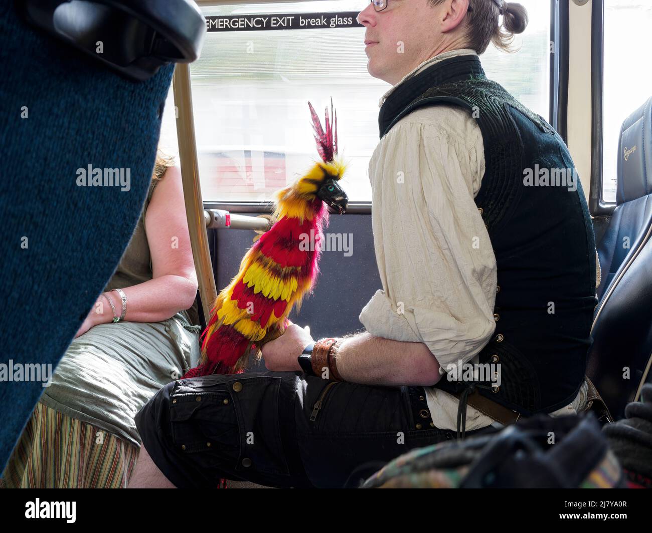Man dressed as a pirate with a phoenix parrot model on a bus heading to ...