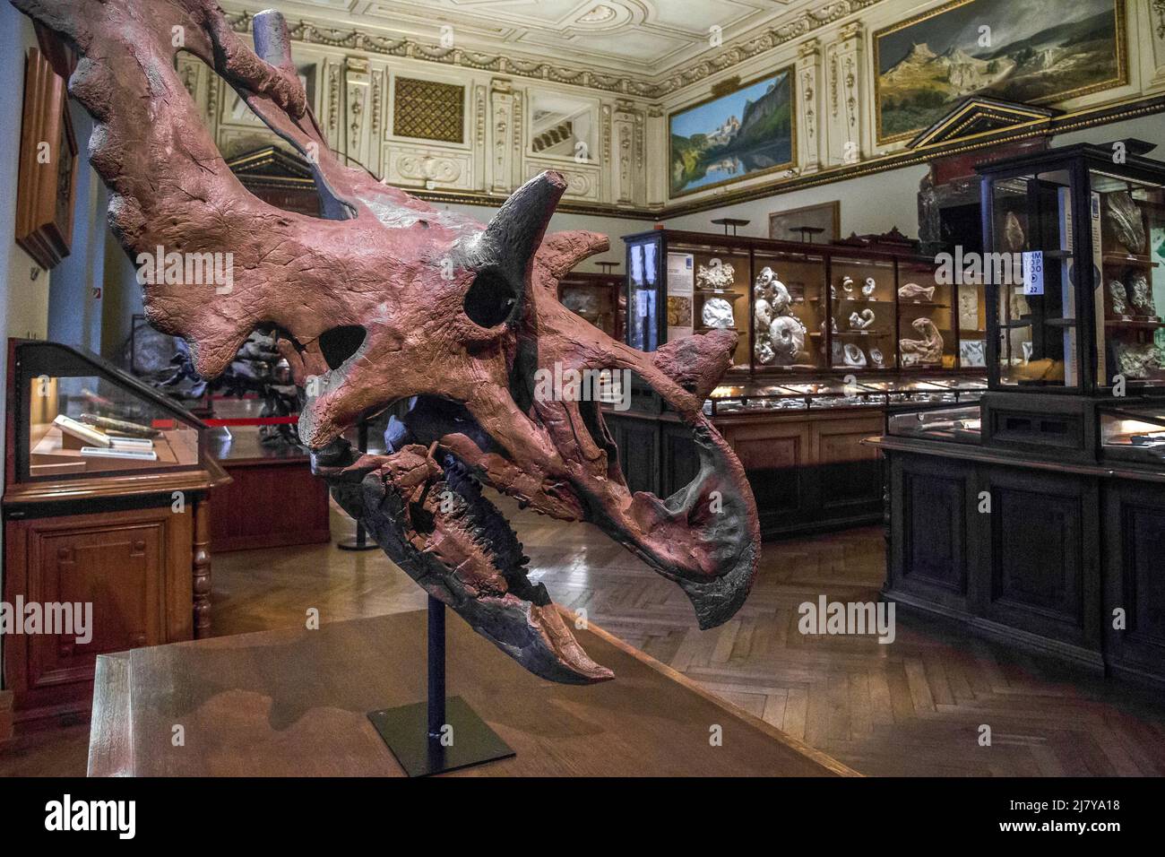 VIENNA, AUSTRIA - MAY 15, 2019: This is the head and neck of a ...