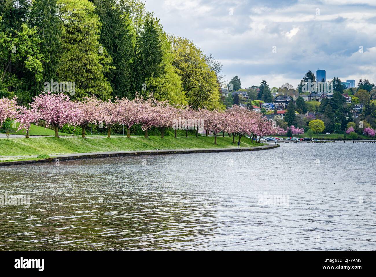 Seattle lake washington boulevard hi-res stock photography and images ...
