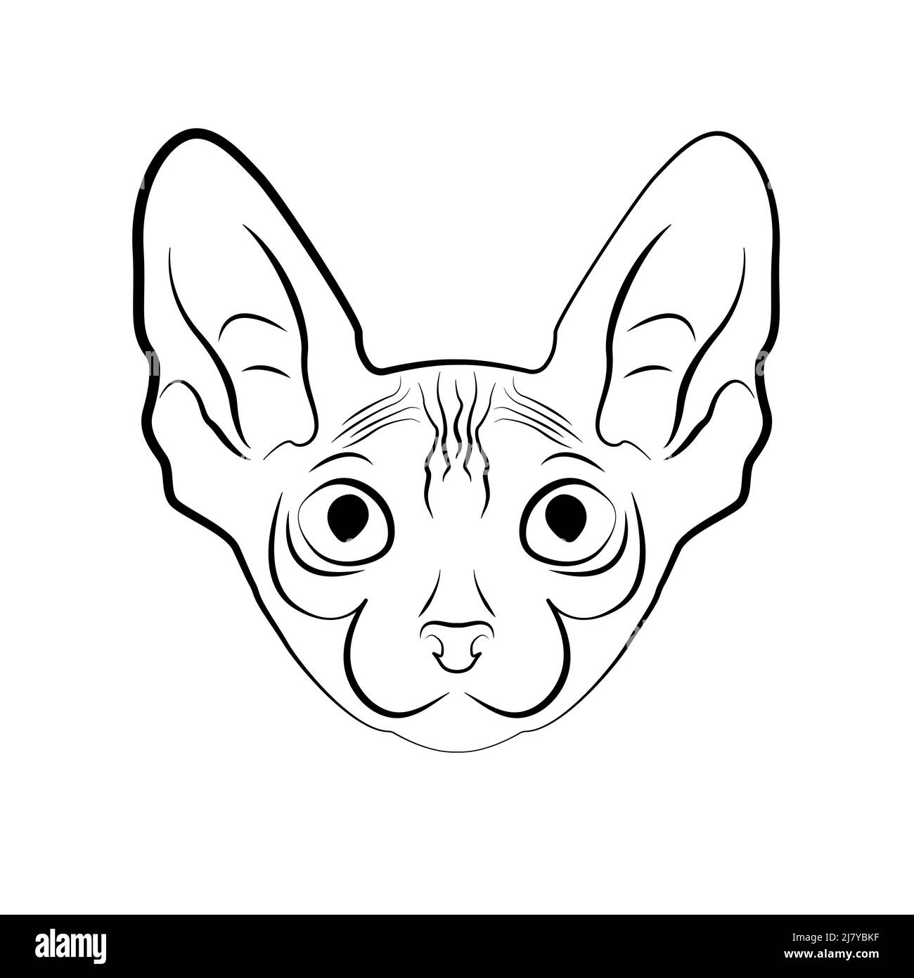 Cat history Cut Out Stock Images & Pictures - Alamy