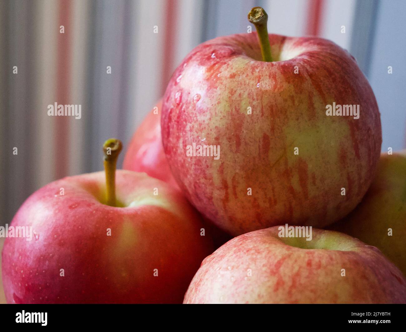 A few ripe striped apples, a close-up shot. Apples of the gala and ...