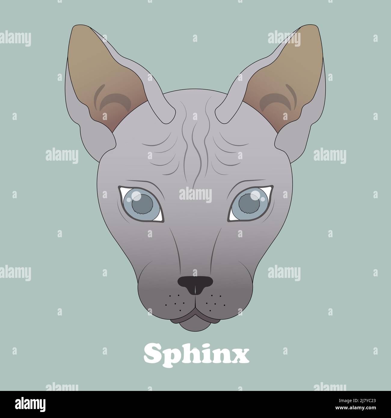 Sphinx cat. Print with cat with background Stock Vector Image & Art - Alamy