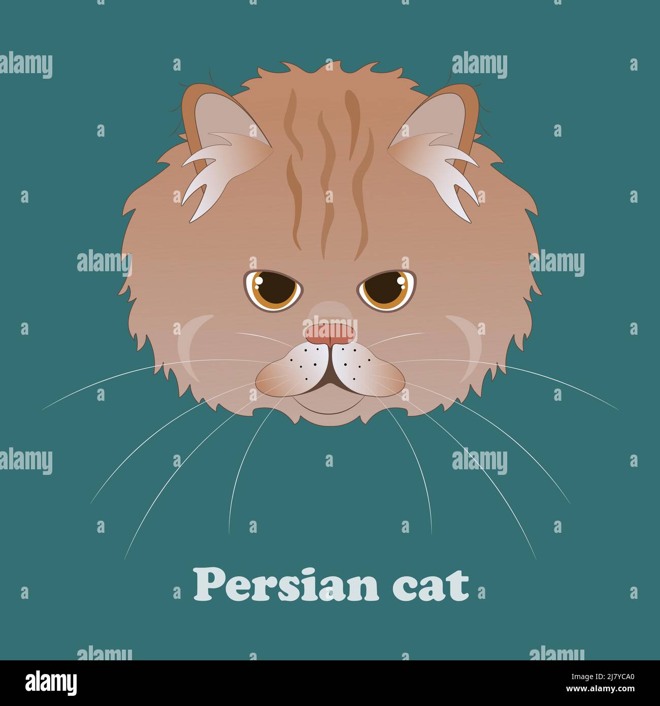 Red persian domestic cat Stock Vector Images - Alamy