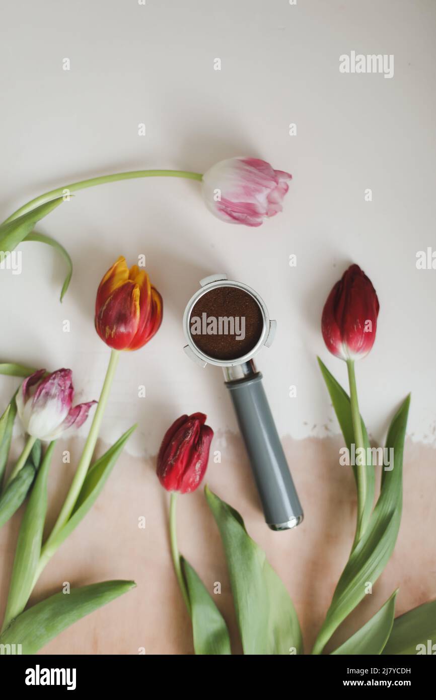 Fresh tulips and metal holder from the coffee machine with ground ...