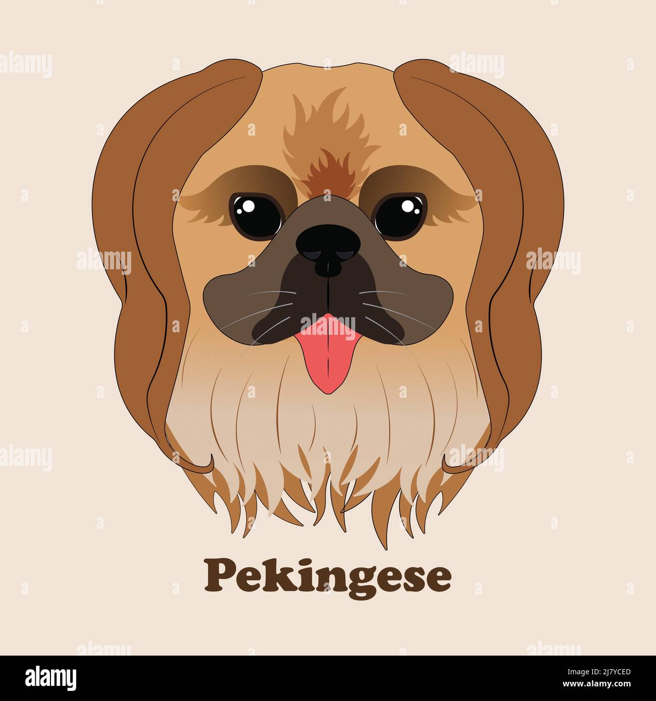 Black pekingese Stock Vector Images - Alamy