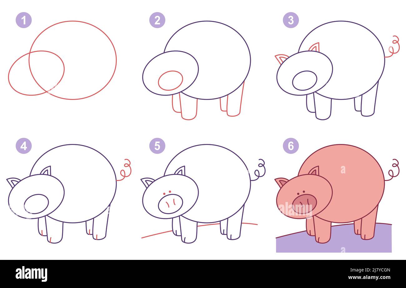 Instructions for drawing pig. Step by step Stock Vector Image & Art - Alamy