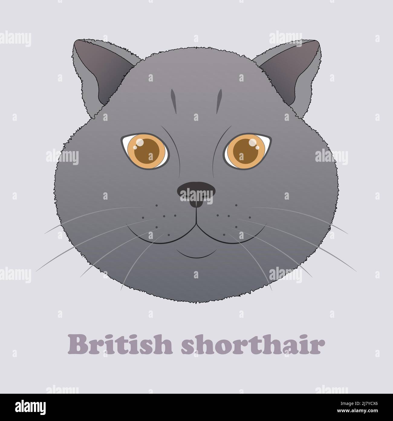 British short Stock Vector Images - Alamy