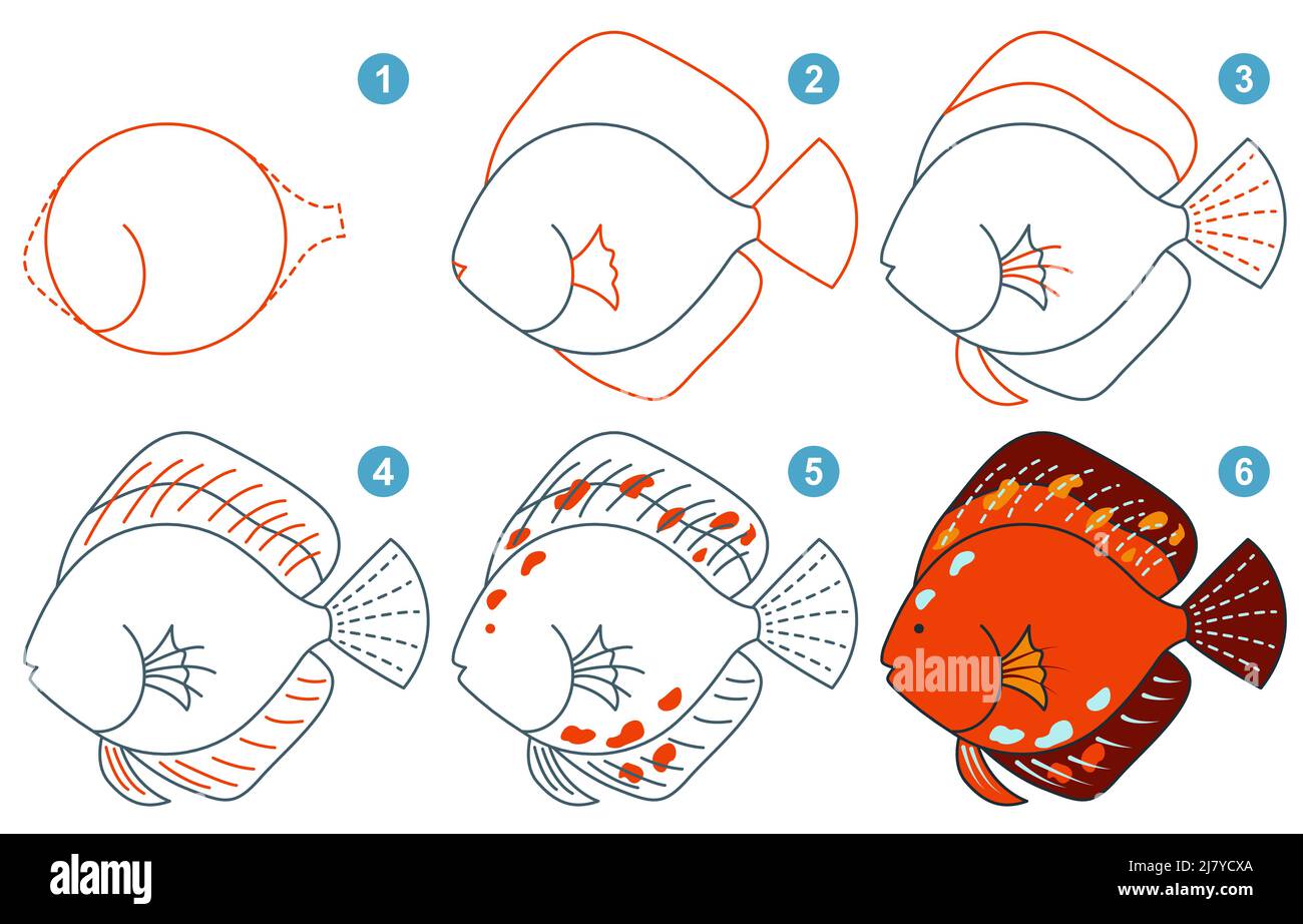 Instructions for drawing discus. Step by step Stock Vector Image & Art ...