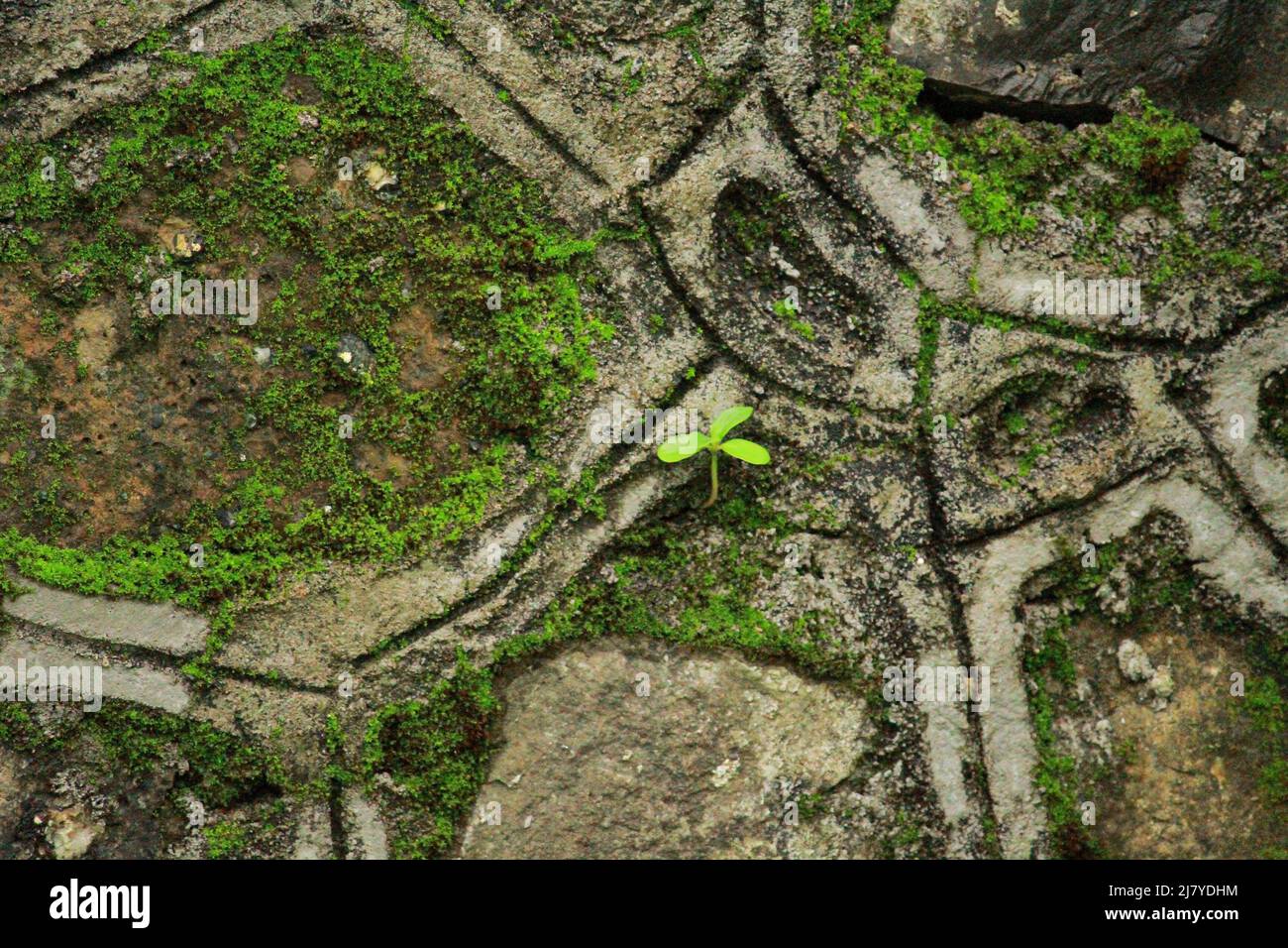 Landscape, Beautiful stone wall, sand water Stock Photo - Alamy