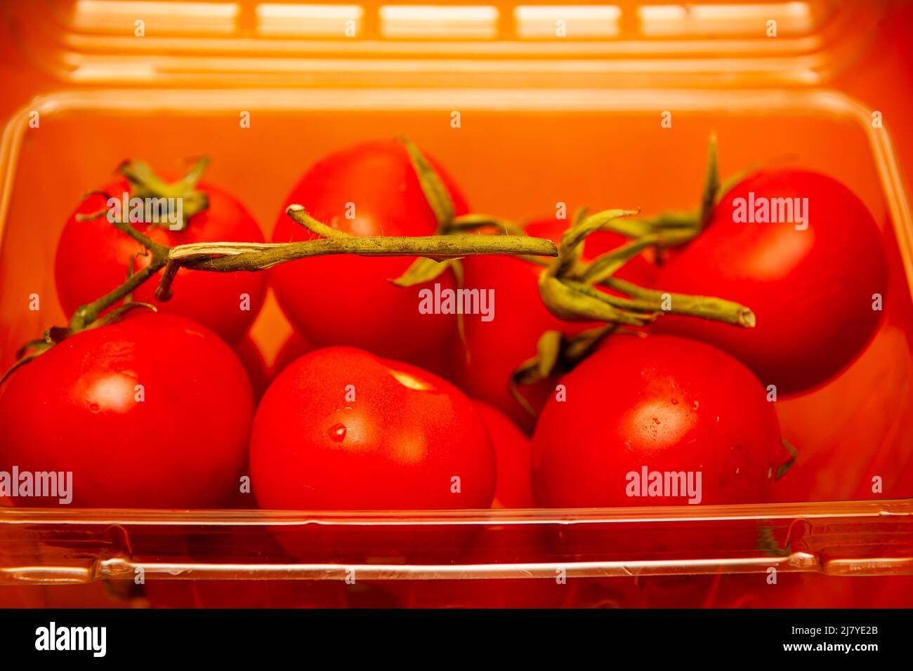 Canadian grown hot house tomatoes in their plastic clamshell tray ...