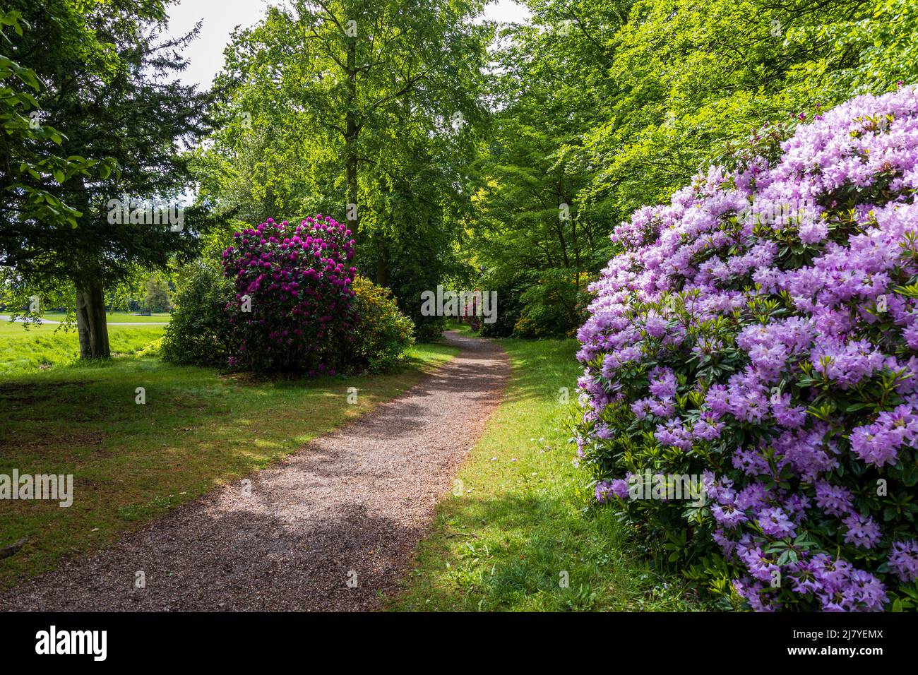 A winding path through a country garden with flowers, trees and areas ...