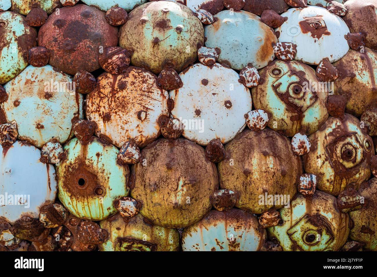 Old dhad not trunk Stock Photo - Alamy