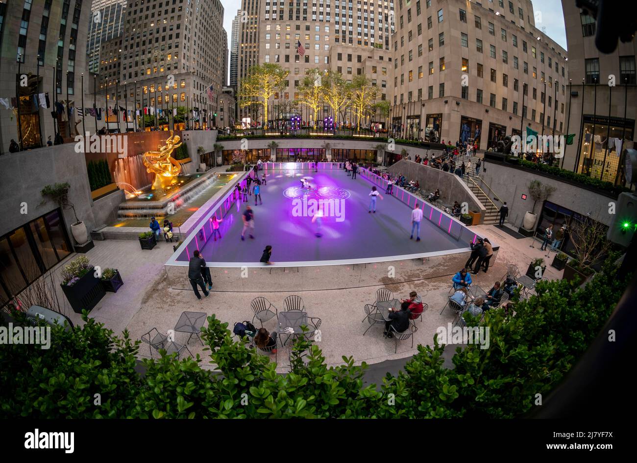 Flipper’s roller boogie palace hi-res stock photography and images - Alamy