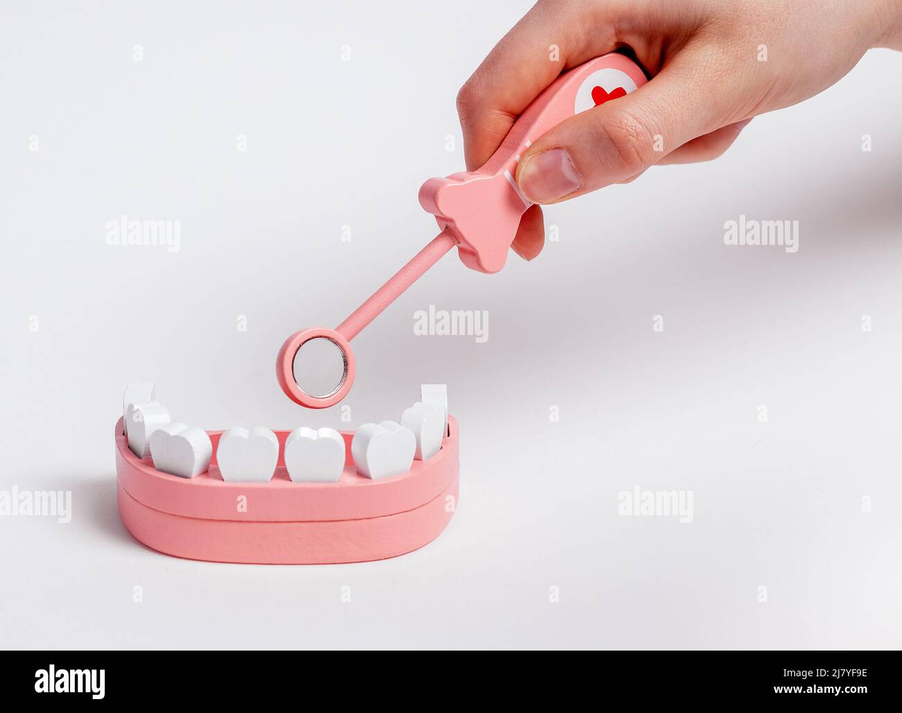 Hand checking teeth in jaw model with mouth mirror. Tooth checkup and ...