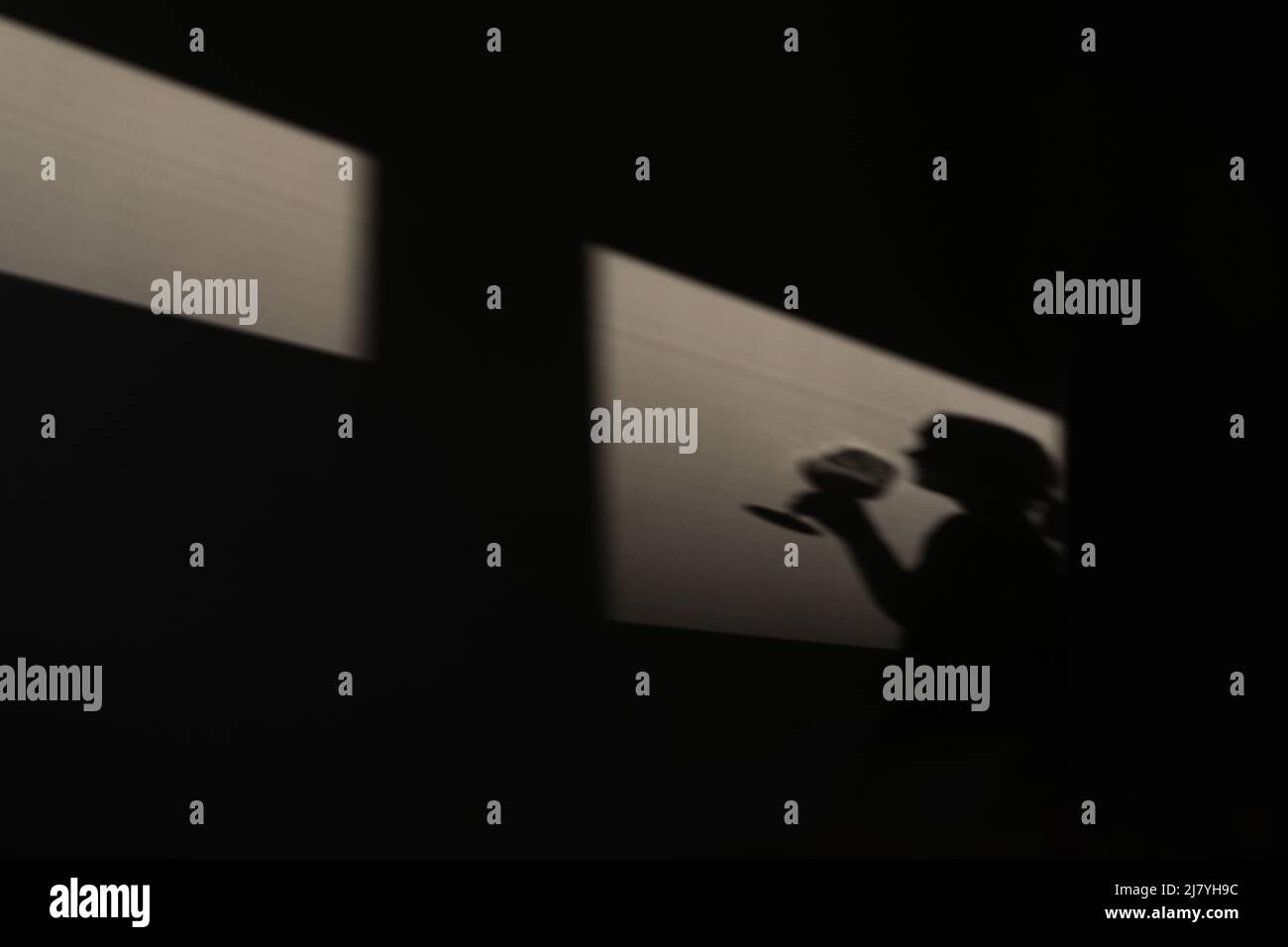 Shadow on the wall of a female sommelier with a glass of wine ...