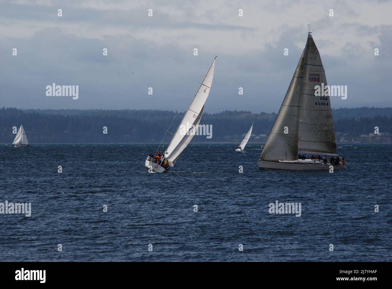 Regatta Sailing on Puget Sound in Washington State Stock Photo - Alamy