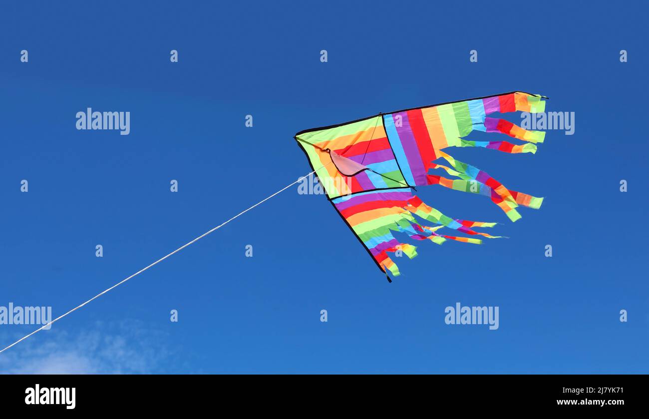 big multicolored rainbow flying in the blue sky symbol of freedom and ...