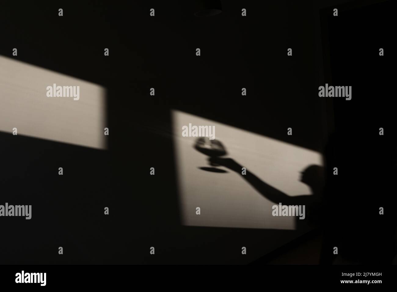 Shadow on the wall of a female sommelier with a glass of wine ...