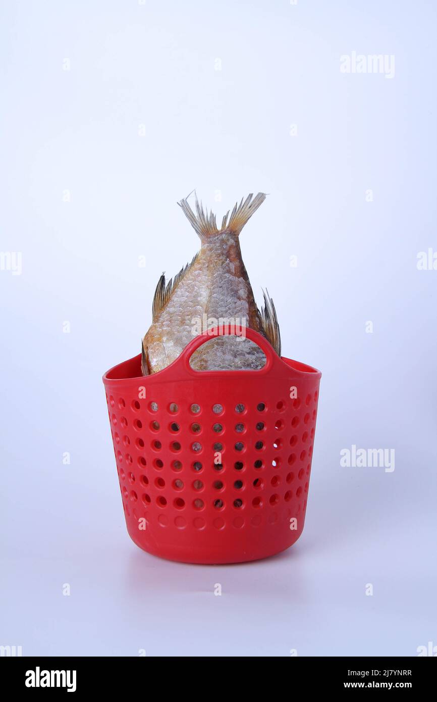 Fish in a trash can. Damaged product in the shopping cart. Expired date ...