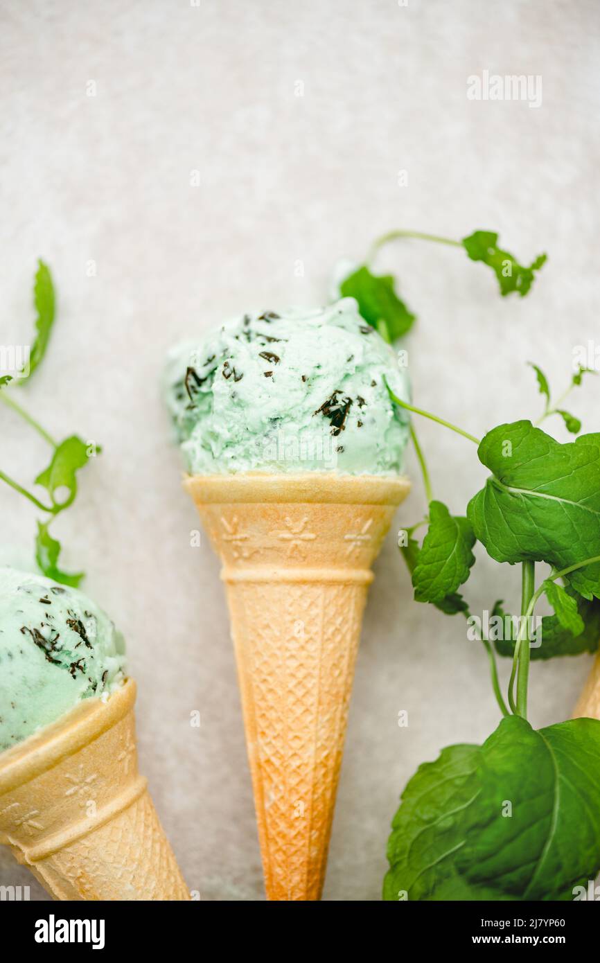 Mint Choc Chip Ice Cream Stock Photo - Alamy