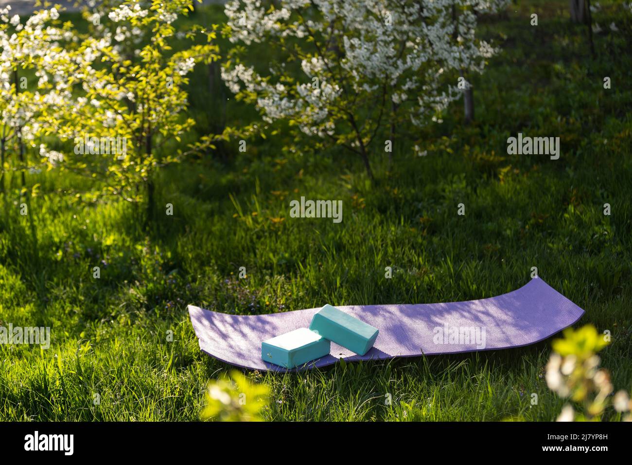 Fitness equipment on the green grass on a sunny day. yoga blocks on a ...