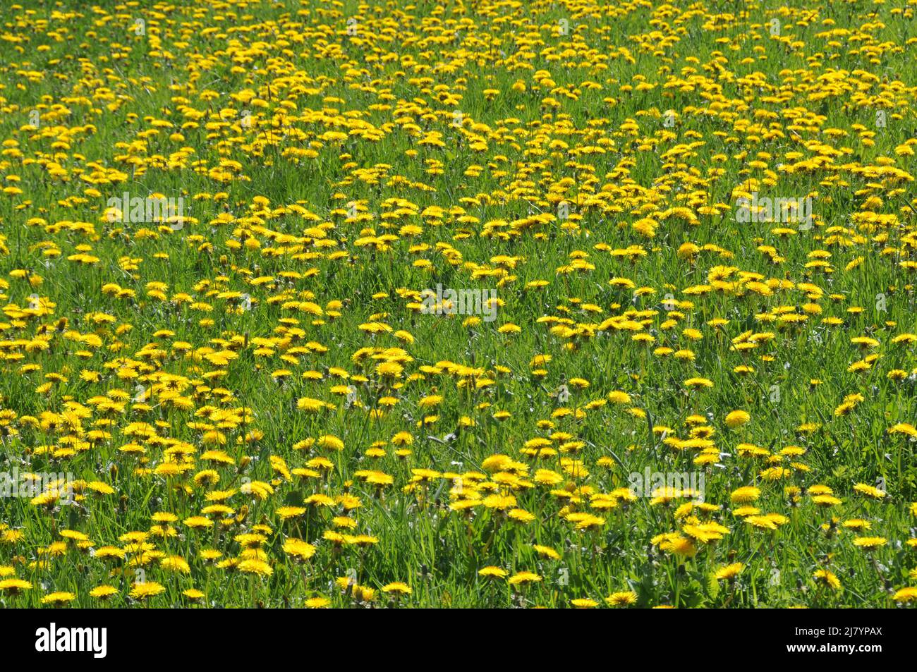 Spring peak hi-res stock photography and images - Alamy