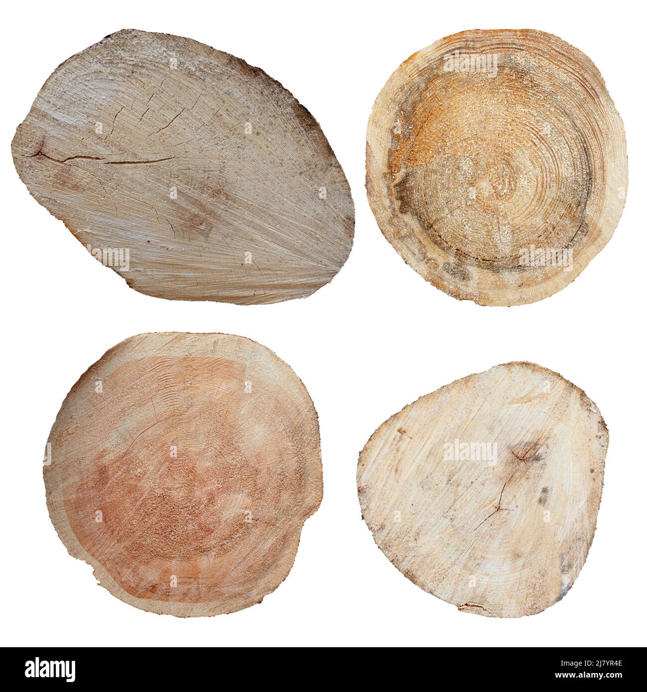 A close-up set of cross-cutting trees. The texture is sawn wood on a ...