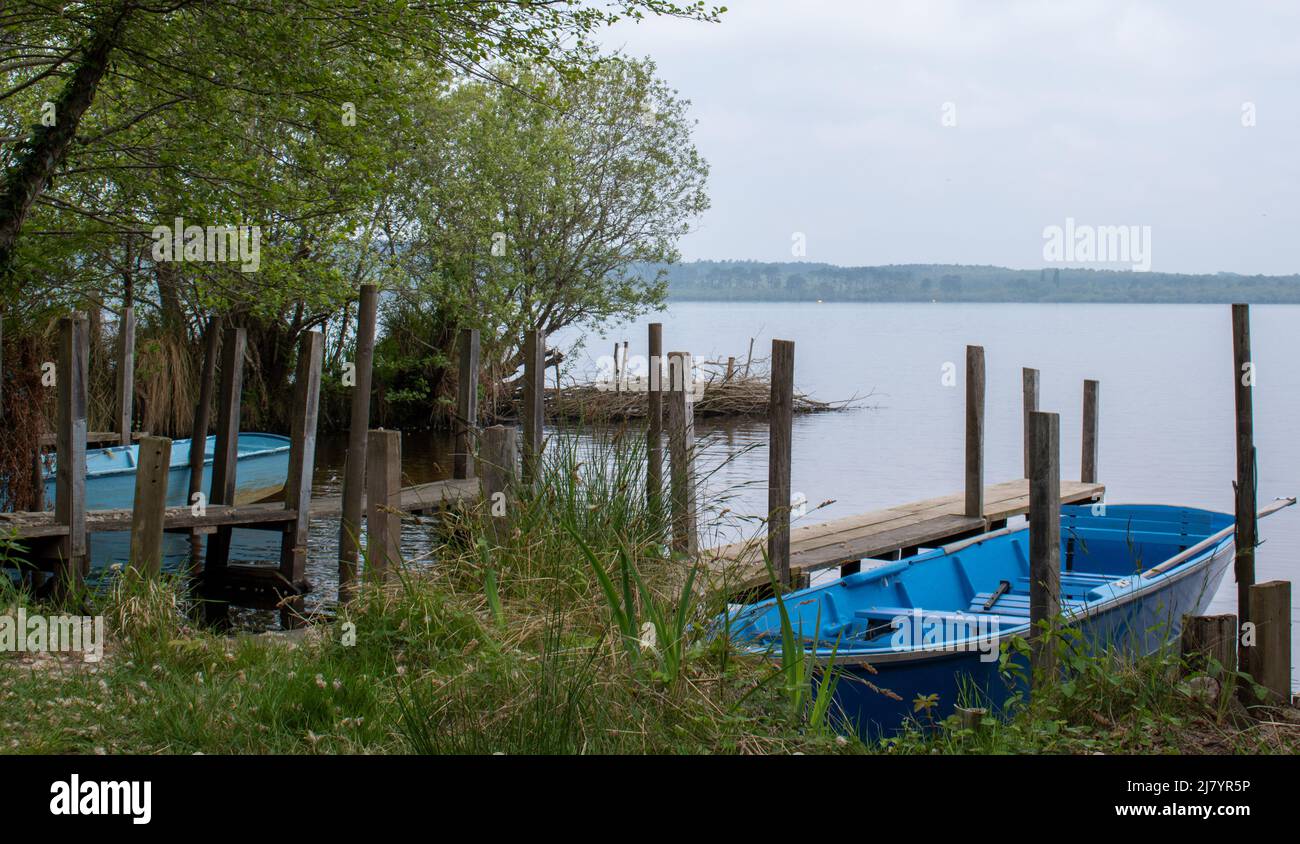 Leon lake hi-res stock photography and images - Alamy