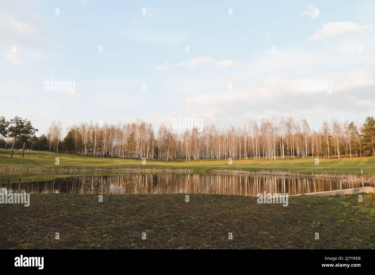 spring landscape, forest lake in spring surrounded by trees, calm water surface with reflection ...