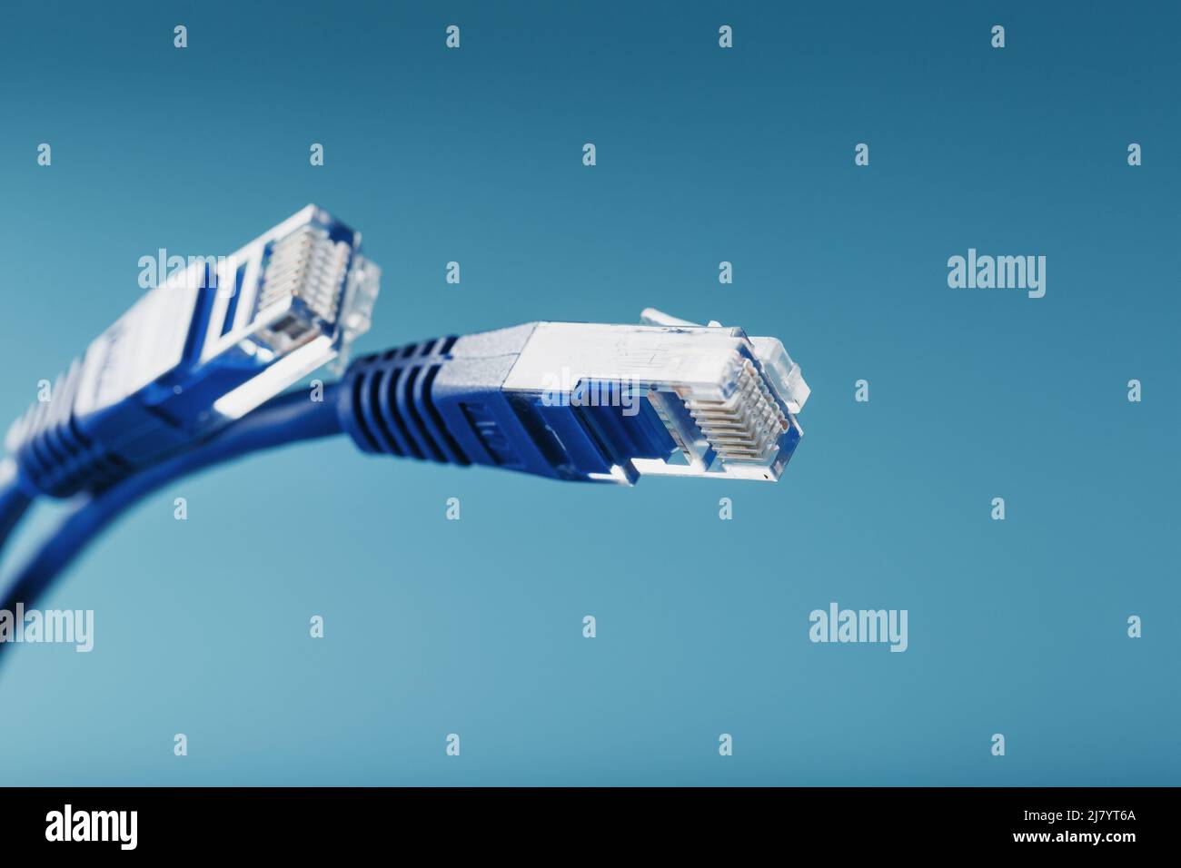 Blue Ethernet Cable Connectors Patch cord cord close-up isolated on a blue background with free ...