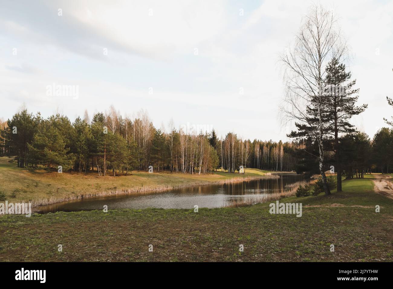 spring landscape, forest lake in spring surrounded by trees, calm water ...