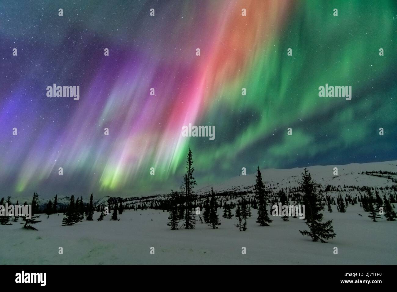 North America; United States; Alaska; Savage River Area; Taiga-Tundra ...