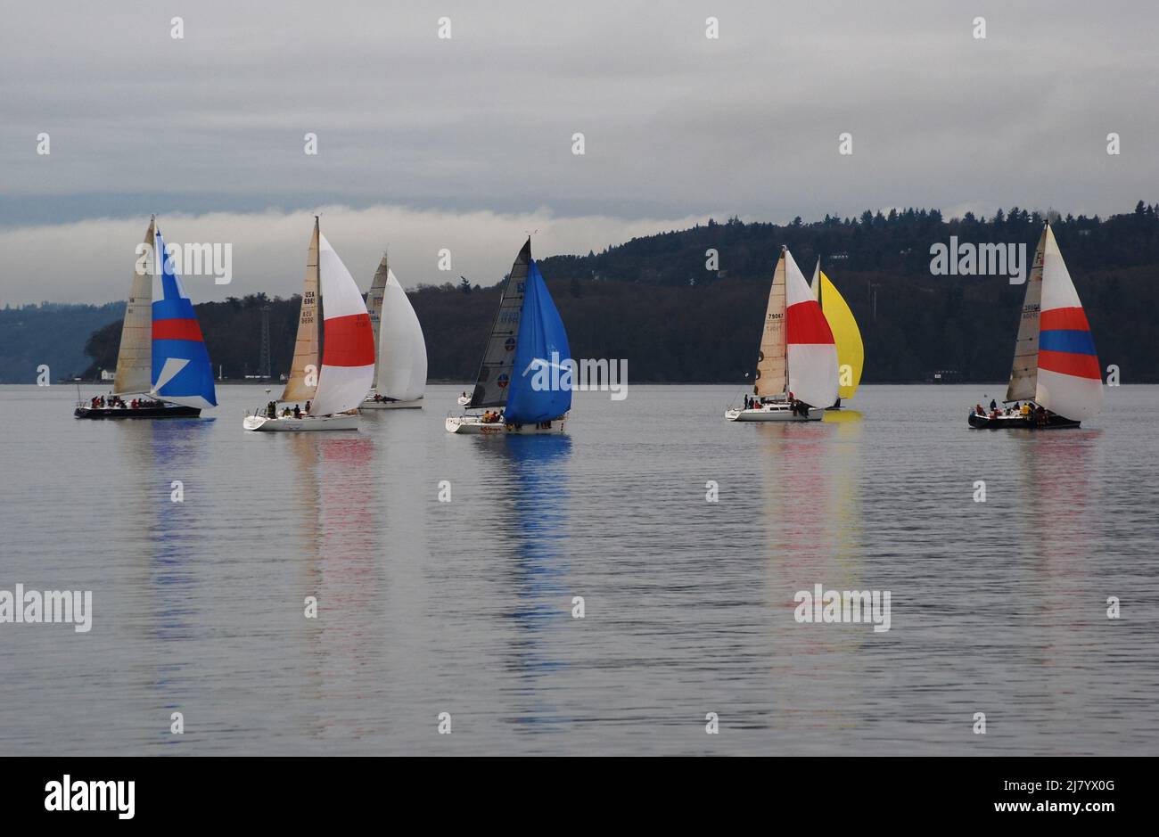 Regatta Sailing on Puget Sound in Washington State Stock Photo - Alamy