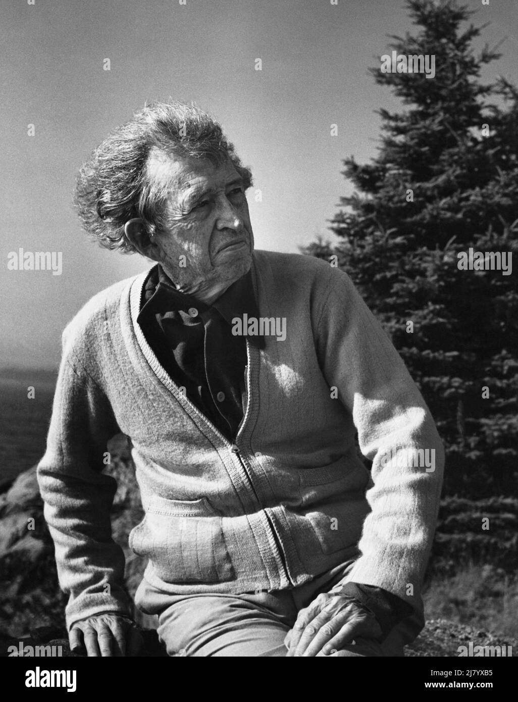 John Marin, American Artist, 1952 Stock Photo - Alamy