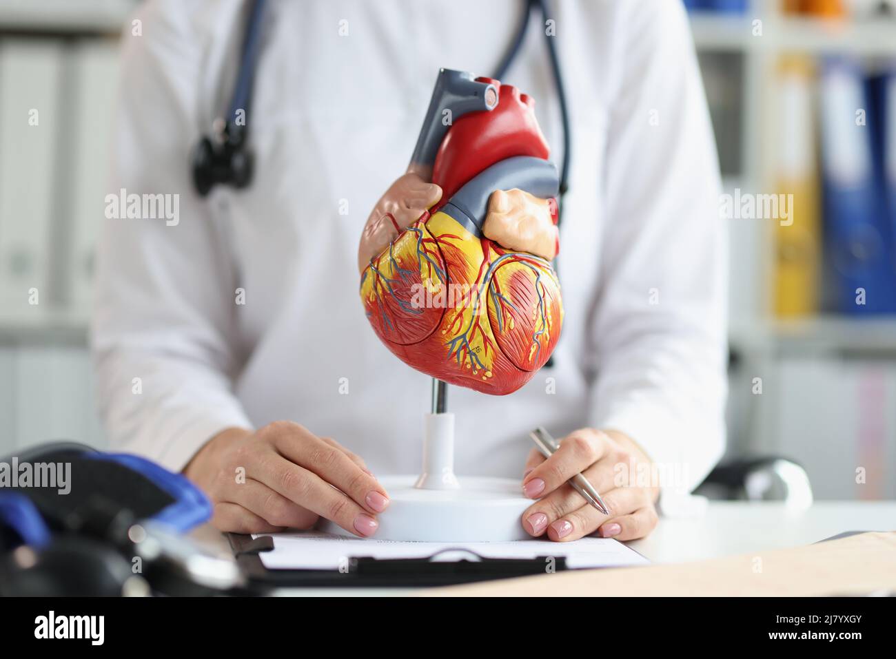 Plastic heart model in hospital, check up your heart, professional ...