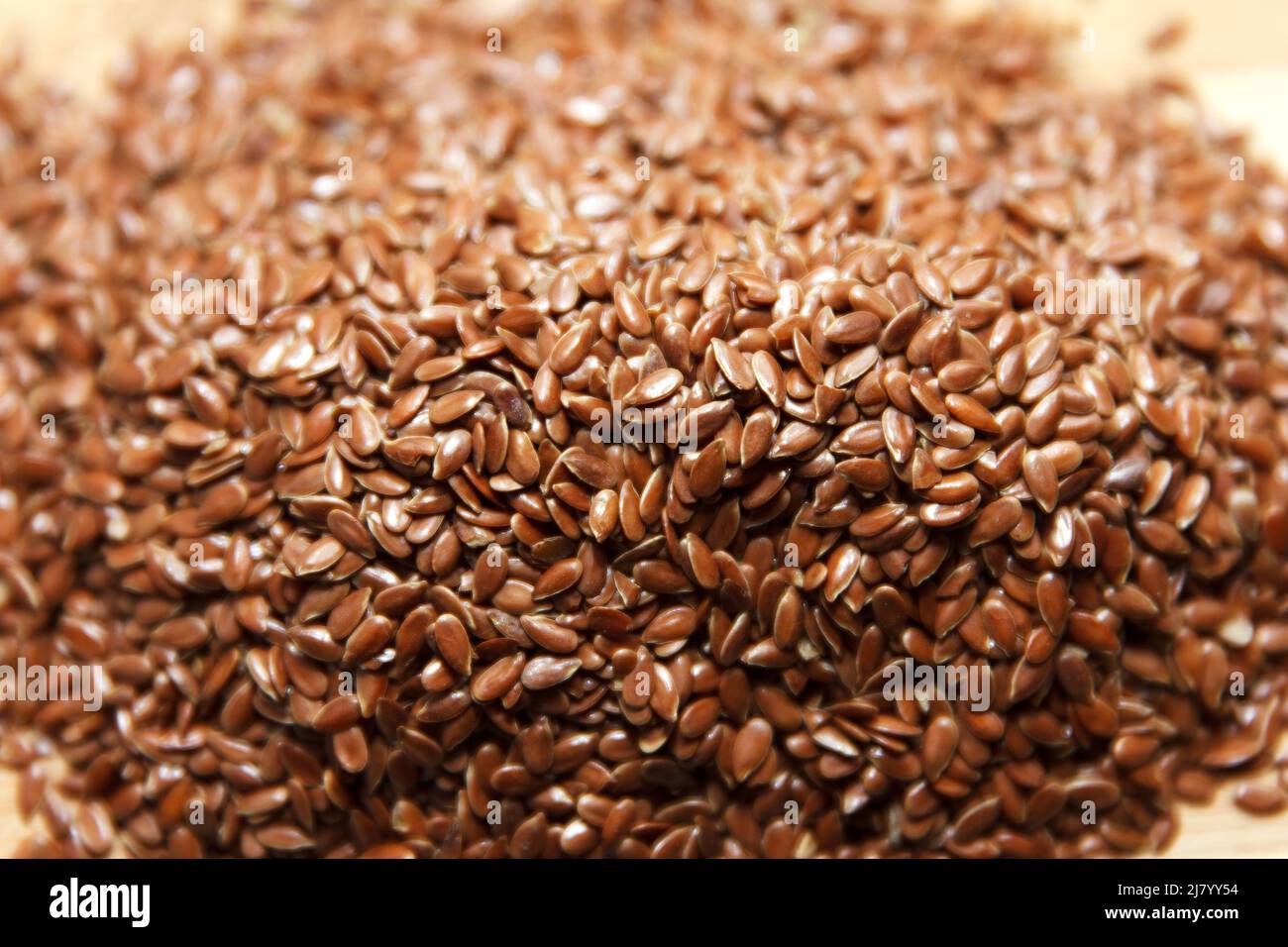 Many linen dry, brown seeds lie on a slide, background. Focus in the ...