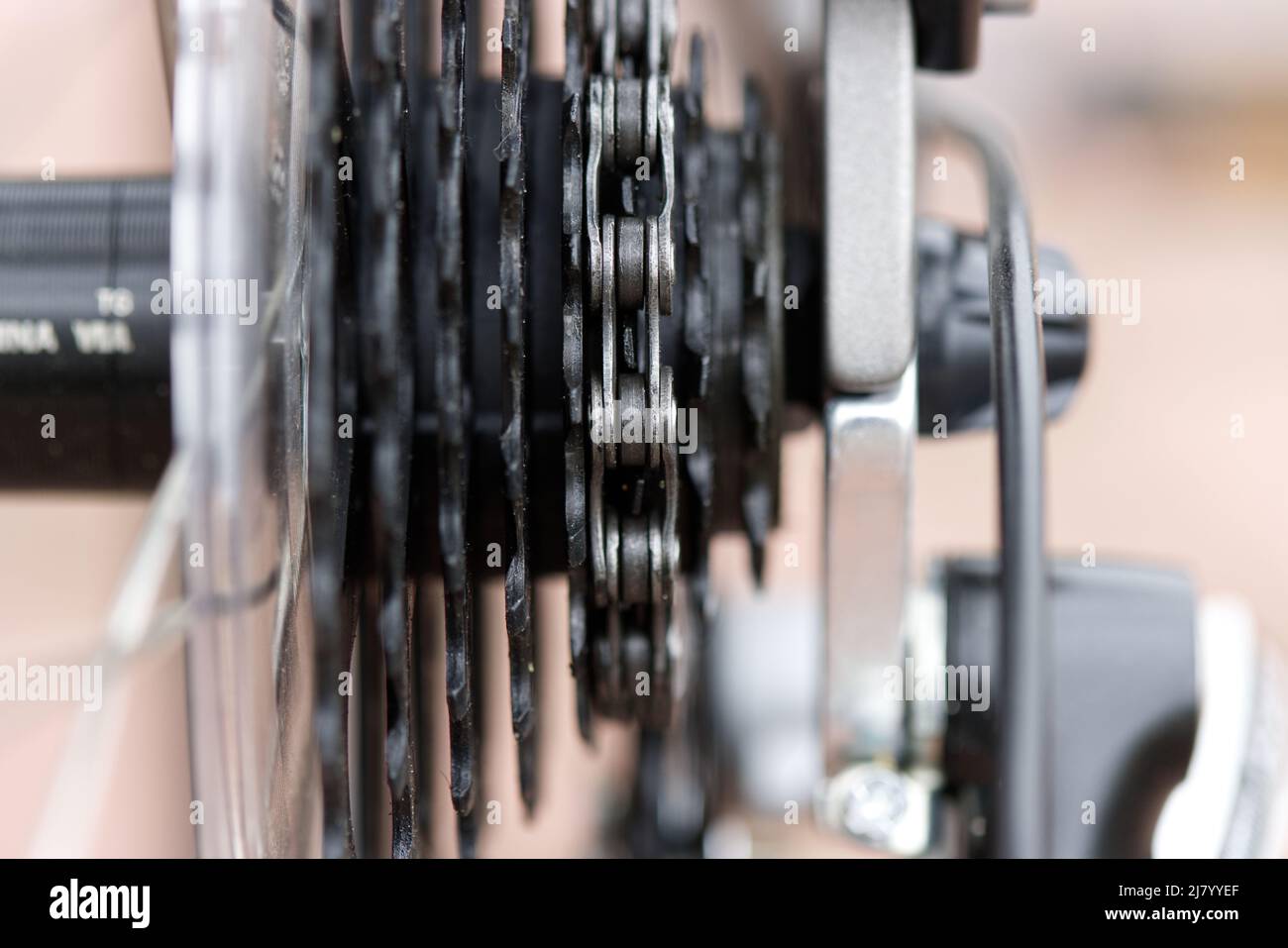 Gear Wheel Of Mountain Bike Macro Stock Photo - Alamy