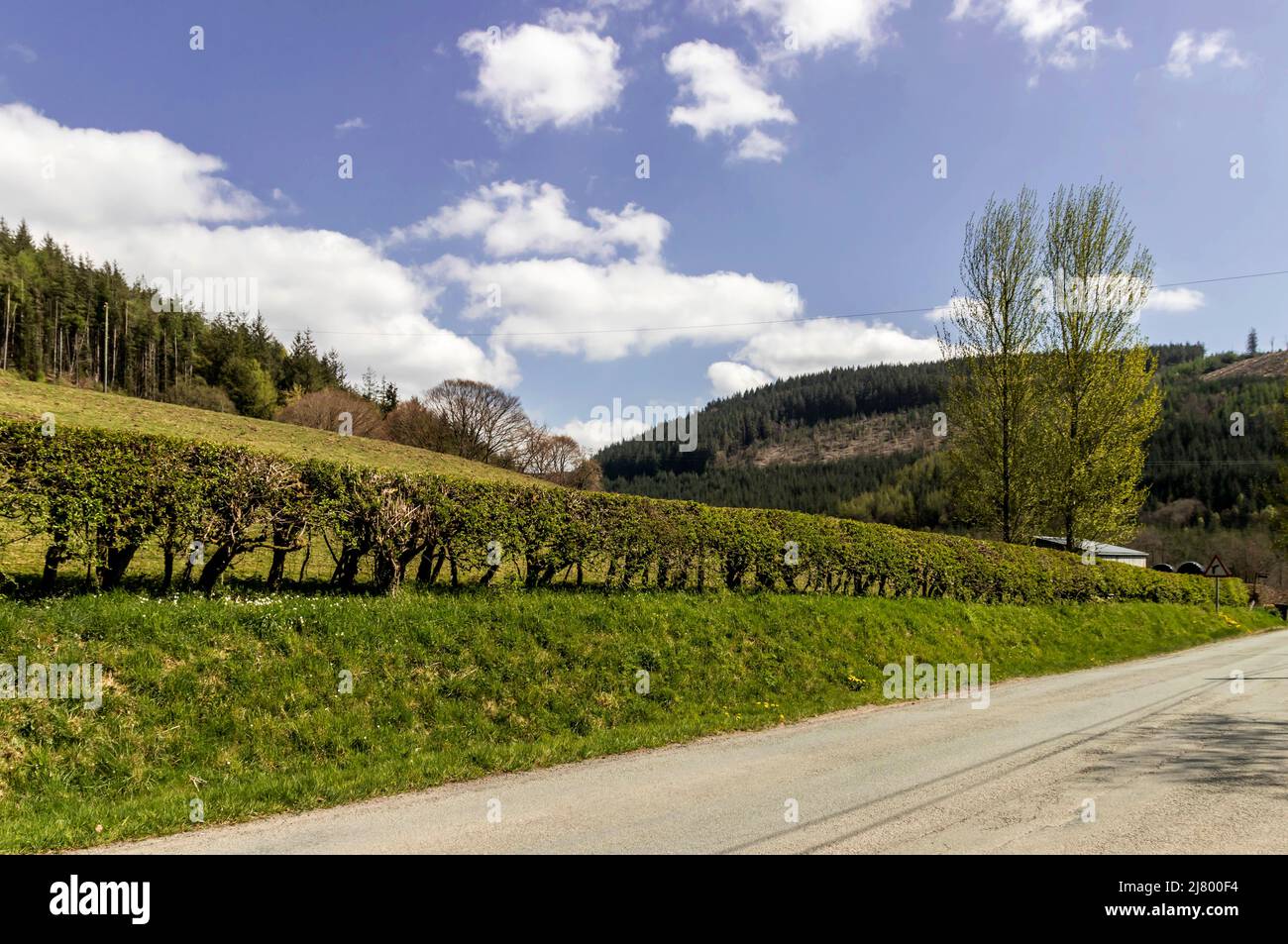 Landscape Country Road Scene in North Wales Stock Photo - Alamy