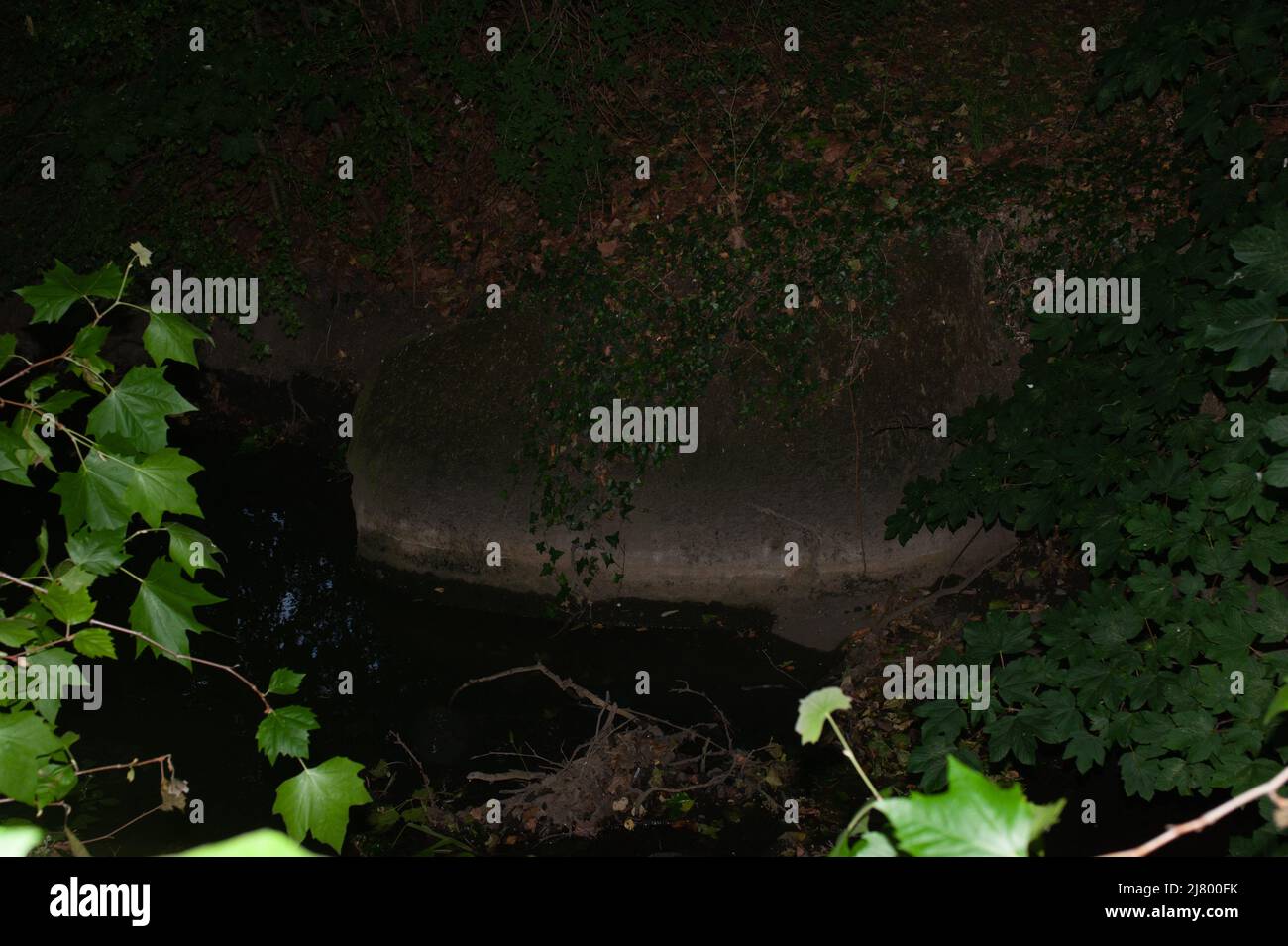 Kings meadow baths hi-res stock photography and images - Alamy