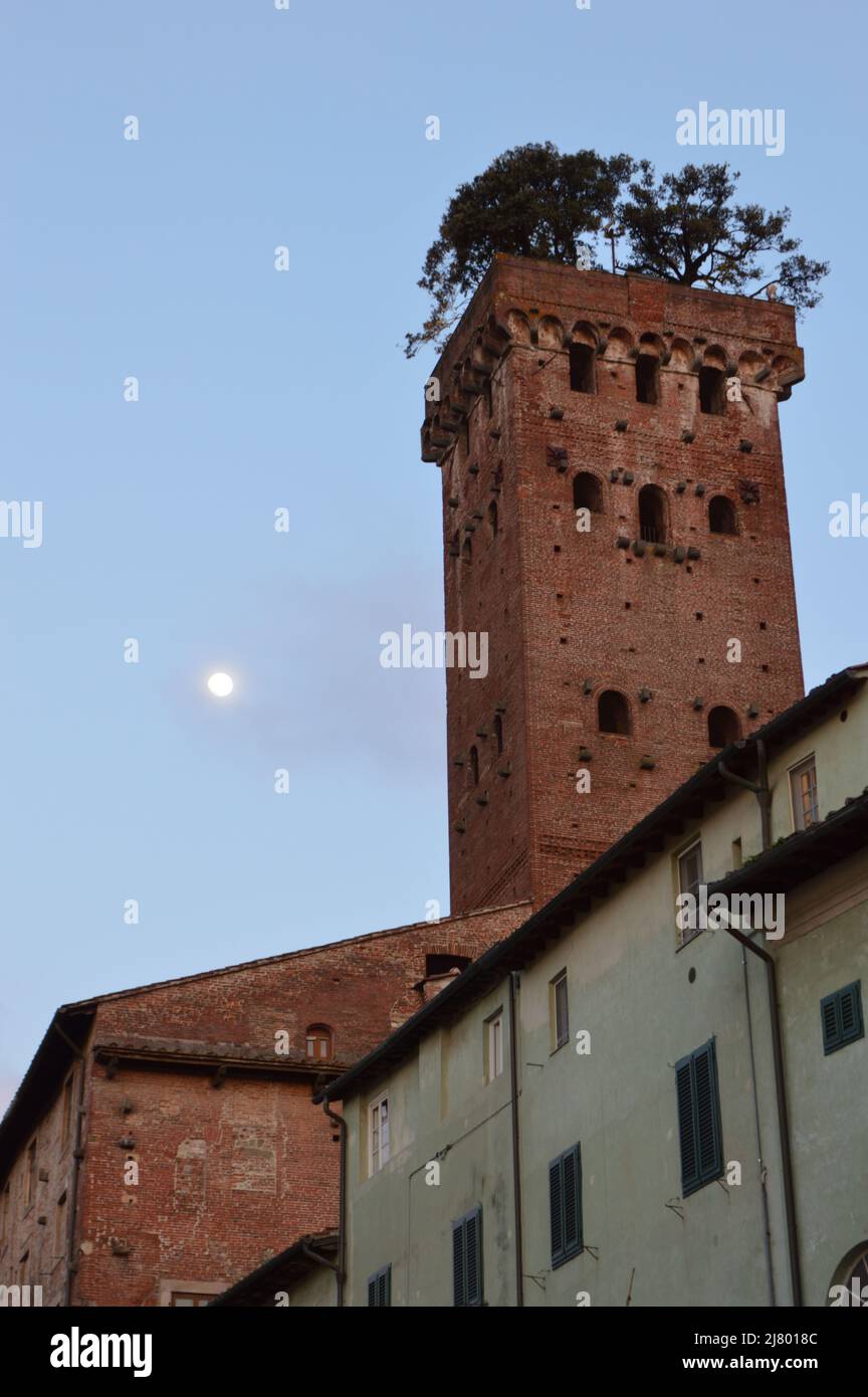 Lucca, Italy - 14 April 2022: lucca buildings and Guinigi Tower on an ...