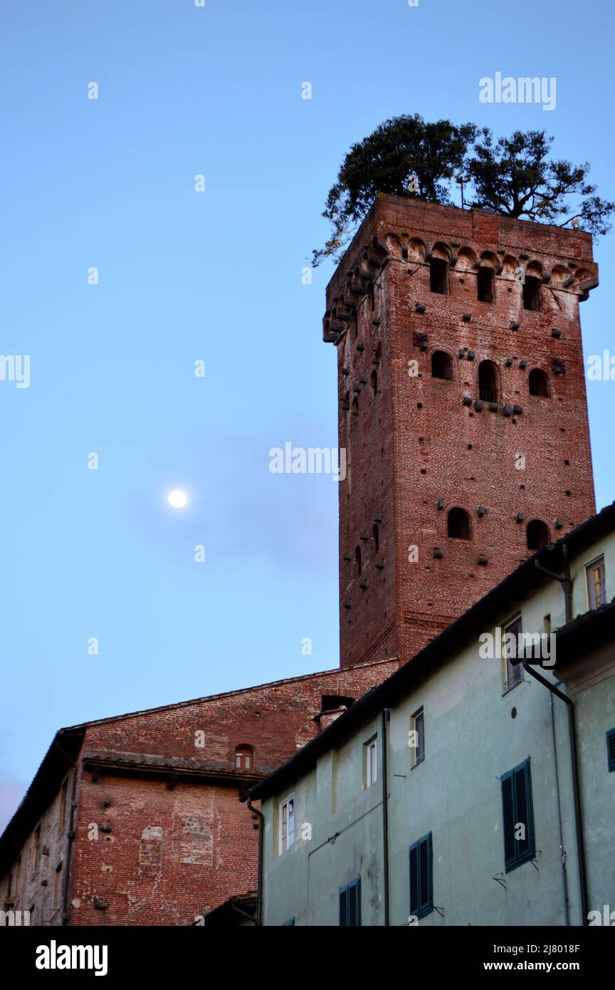 Lucca, Italy - 14 April 2022: lucca buildings and Guinigi Tower on an ...