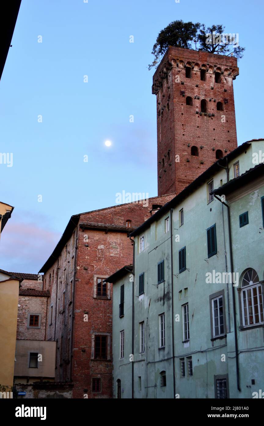 Lucca, Italy - 14 April 2022: lucca buildings and Guinigi Tower on an ...