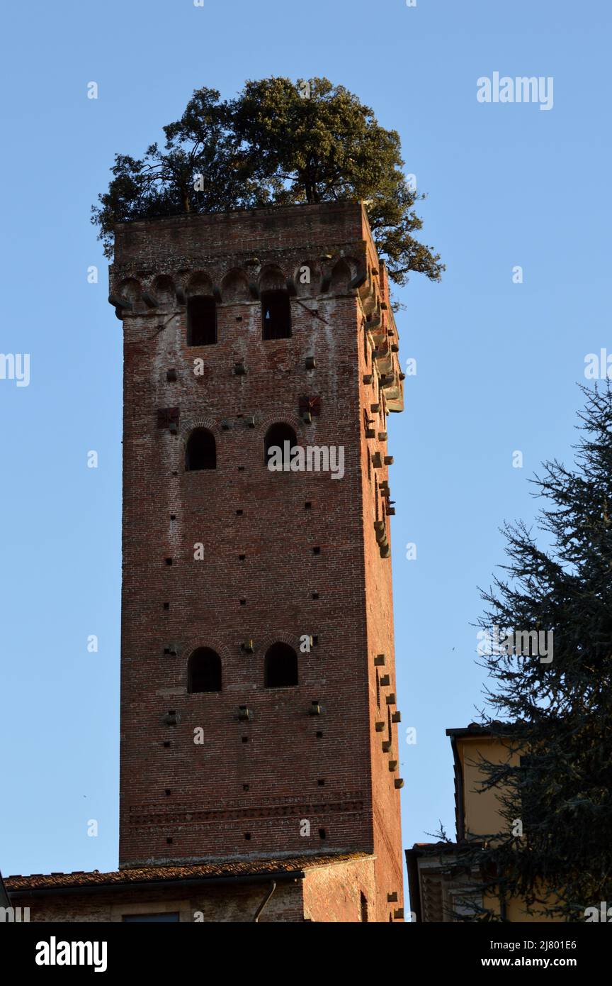 Lucca, Italy - 14 April 2022: lucca buildings and Guinigi Tower on an ...