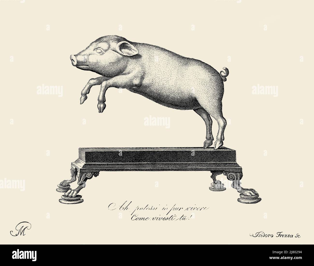 Pig leaping hi-res stock photography and images - Alamy