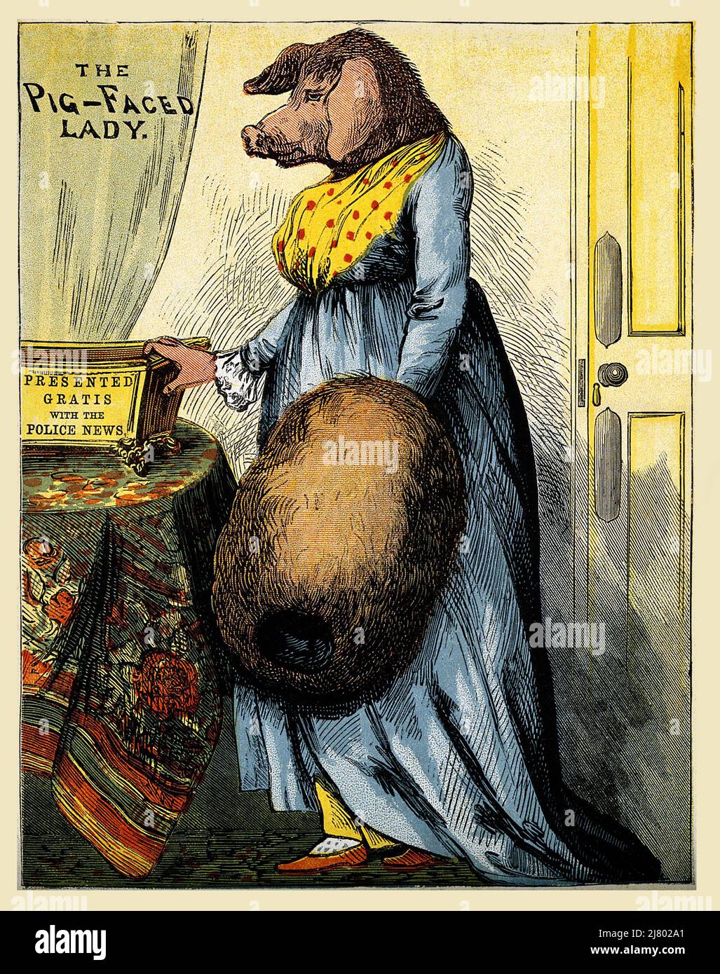 The pig-faced lady Stock Photo - Alamy