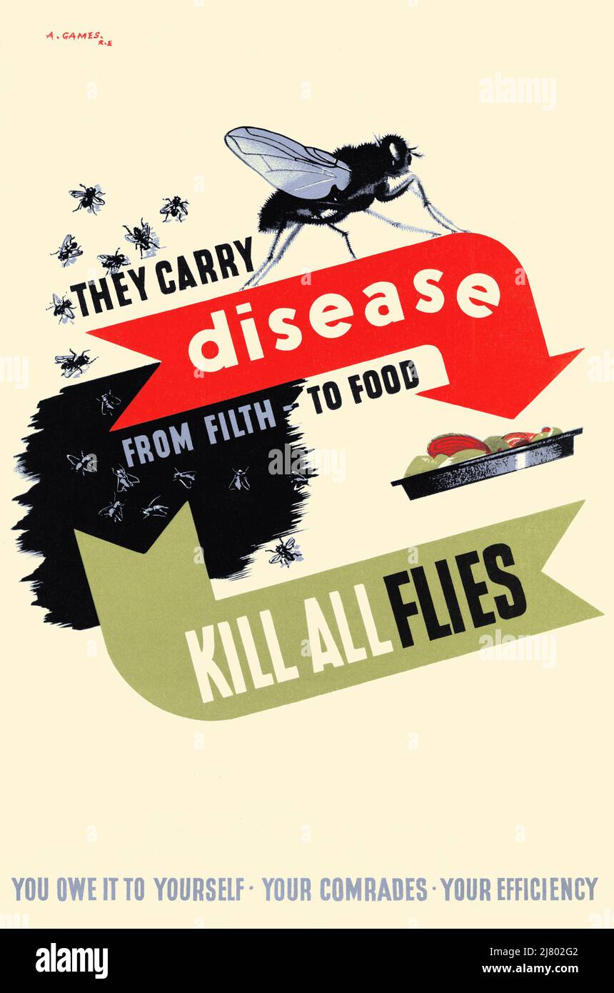 Kill All Flies Stock Photo - Alamy