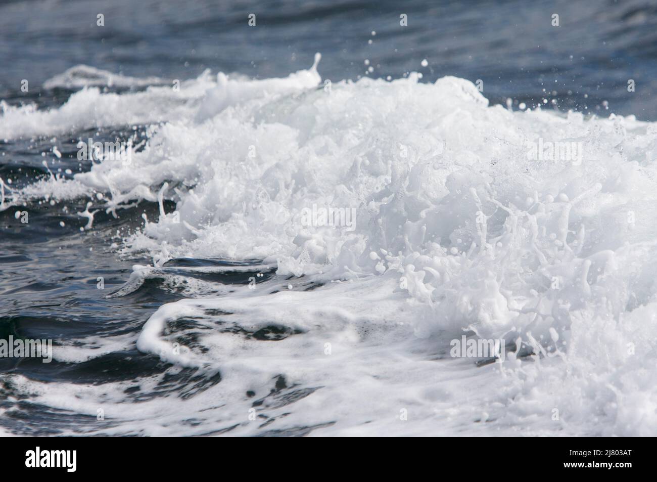 Closeup image of the wake from a cruise ship in Alaska Stock Photo - Alamy