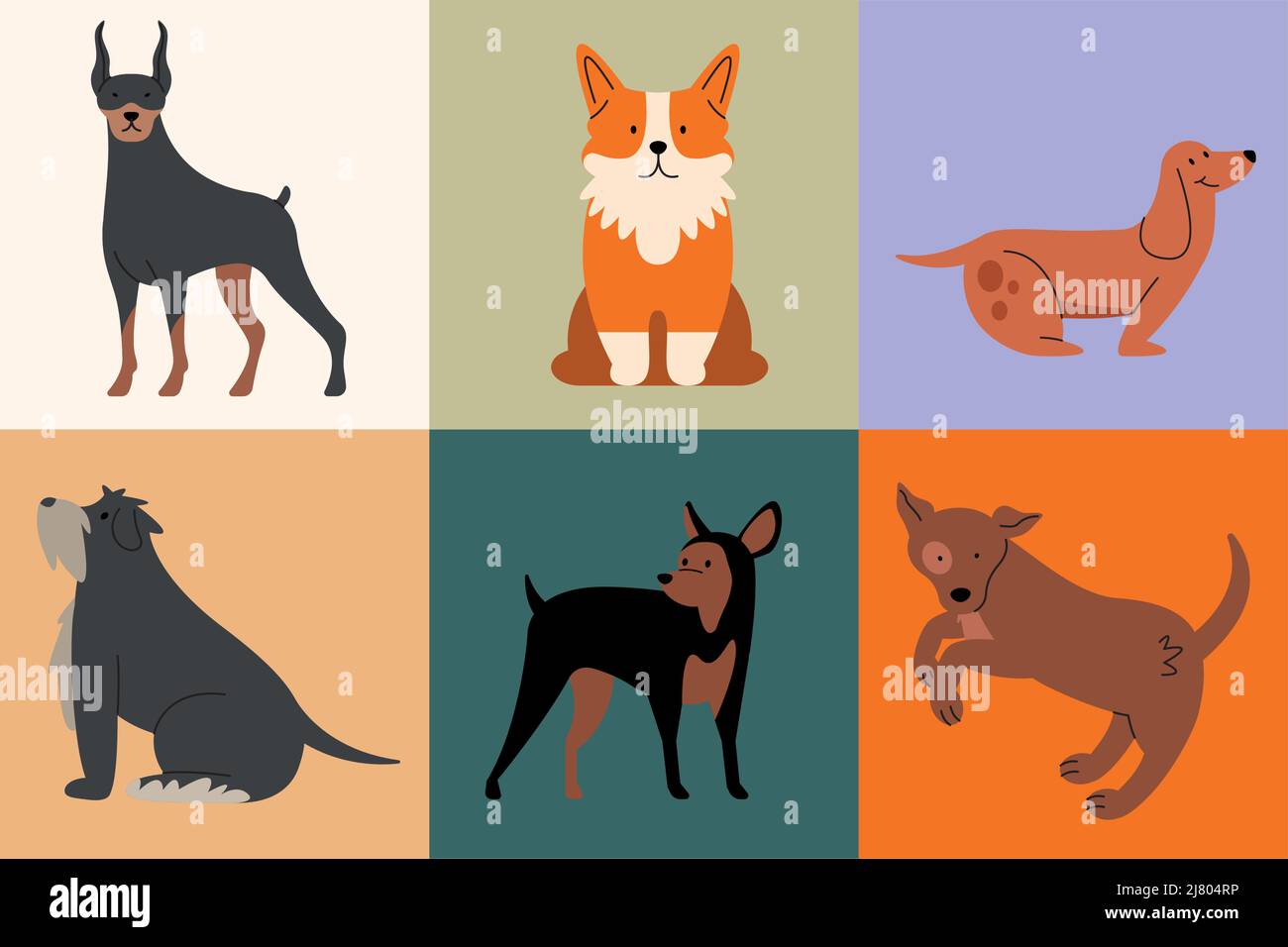 six animals pets characters group Stock Vector Image & Art - Alamy