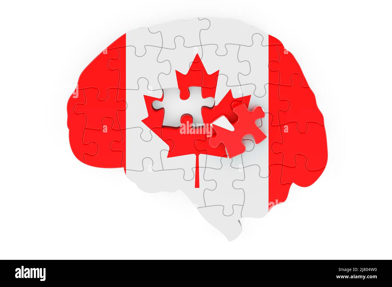 Canadian flag painted on the brain from puzzles. Scientific research ...