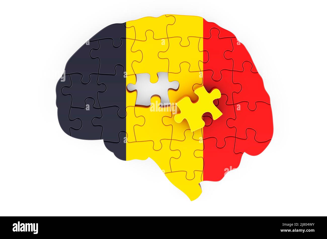 Chadian flag painted on the brain from puzzles. Scientific research and ...